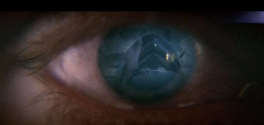 Toutes les coulisses d'Orca film culte des années 70